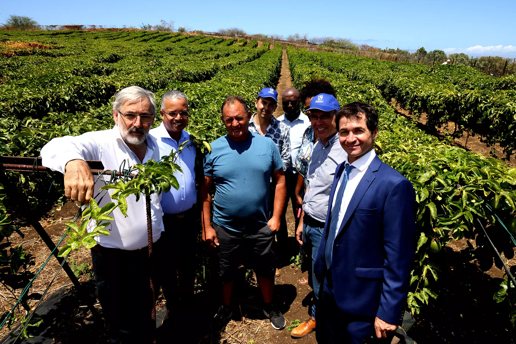 Le Département de La Réunion et CBo Territoria nouent un partenariat ...