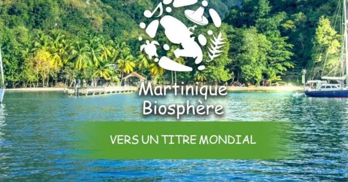 Biodiversité : La candidature de la Martinique au titre de la Réserve ...