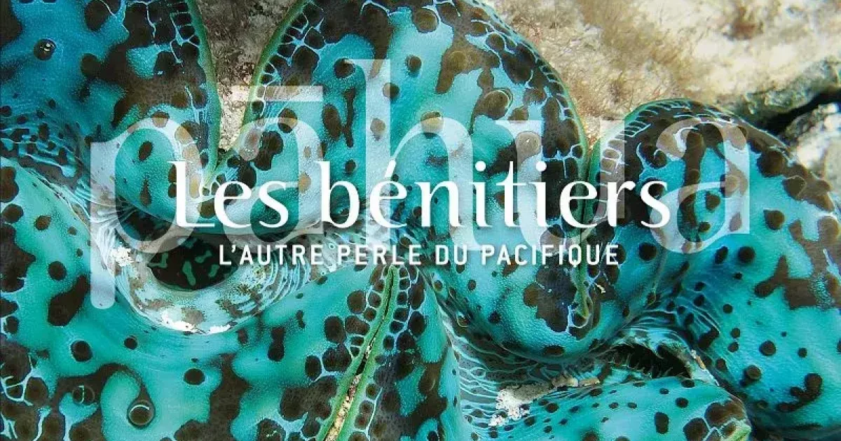 Polynésie : Le Bénitier, un des joyaux les plus spectaculaires des ...
