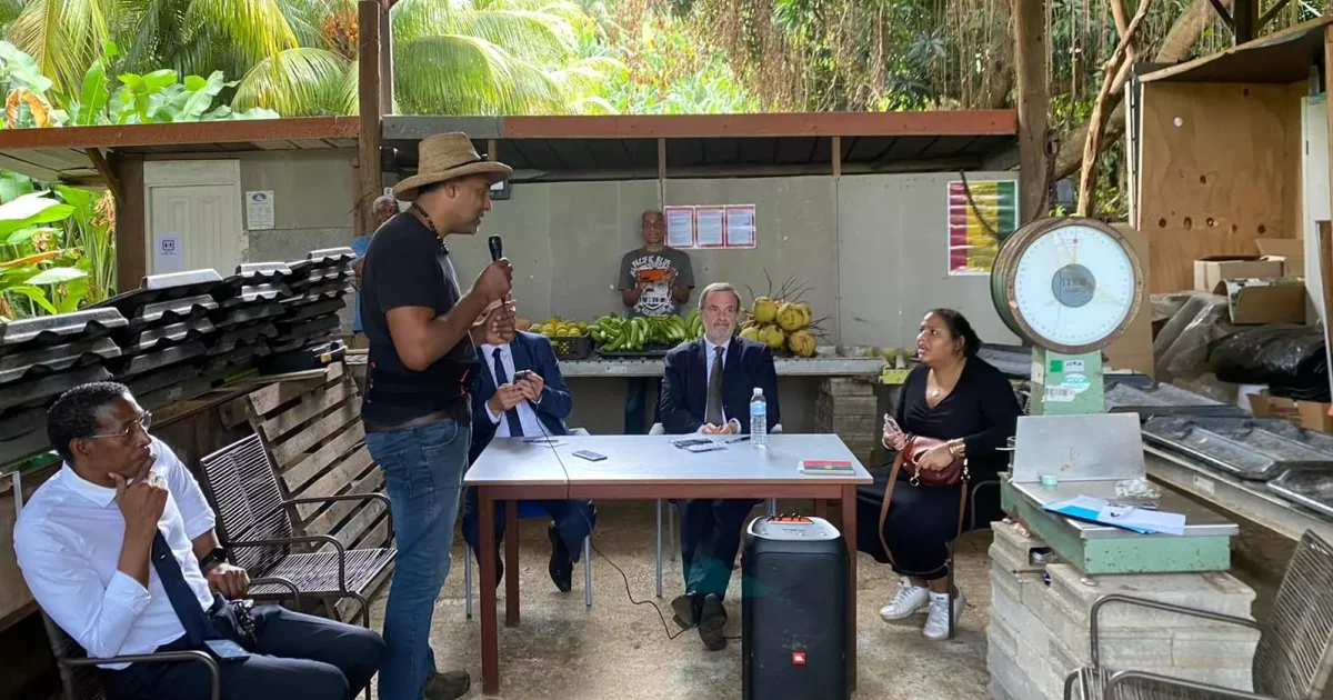 Chlordécone : Le dépistage des salariés agricoles généralisé dès début février, a annoncé Jean ...