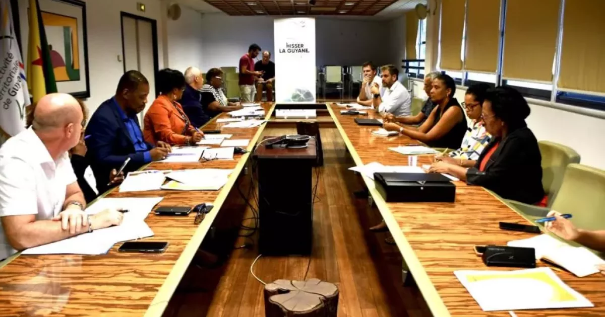 Guyane : Le Comité de pilotage pour la Future Maison des Mémoires et des Cultures de Guyane ...