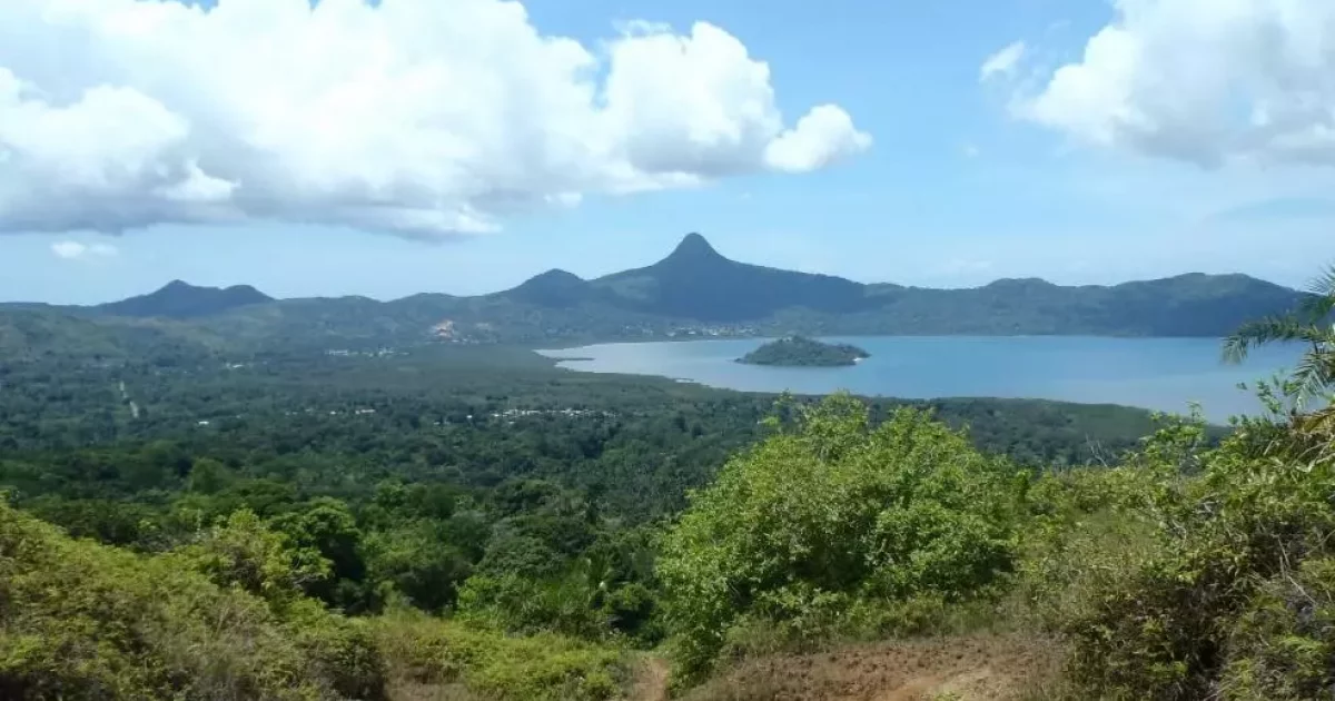 Biodiversité : La gestion de la Réserve Naturelle Nationale des forêts ...
