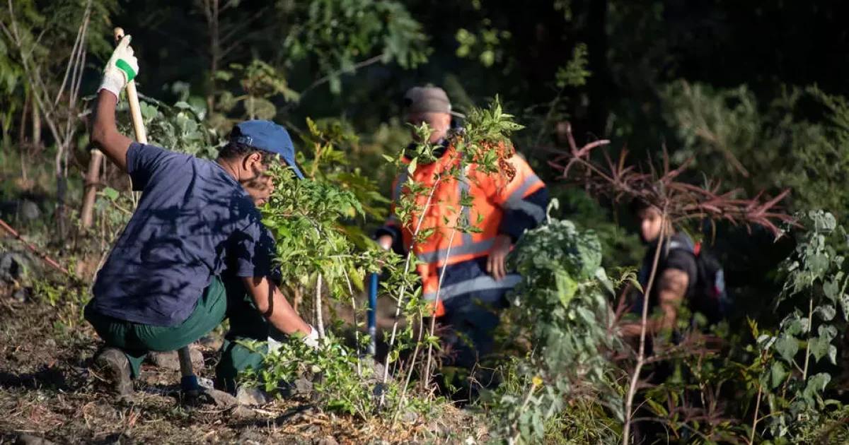 L'OFB lance un appel à projets dans les DROM pour un prochain jeu de ...