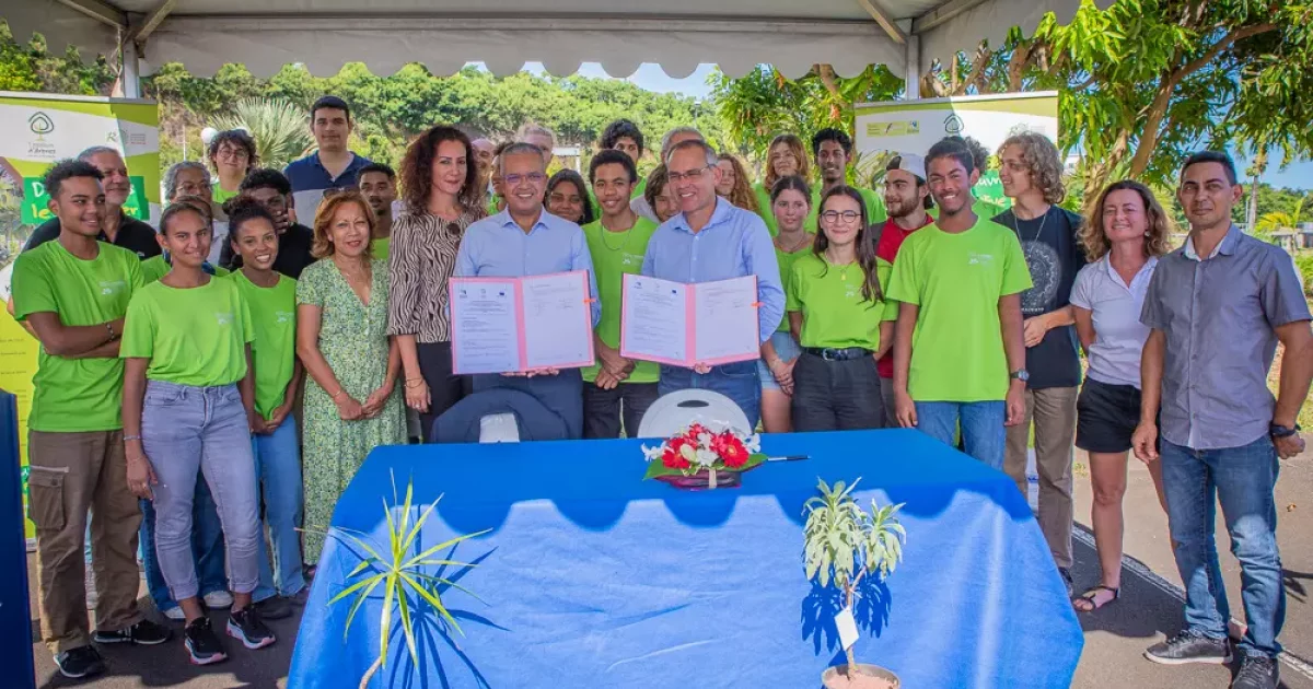 Plan 1 million d’arbres à La Réunion : Le Département et la SAPHIR ...