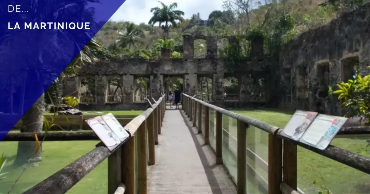 Série - À la découverte du patrimoine de la Martinique : le Zoo de ...