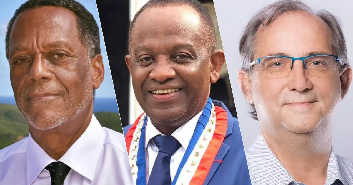 EXCLU. Sénat : Frédéric Buval, Saïd Omar Oili et Stéphane Fouassin ...