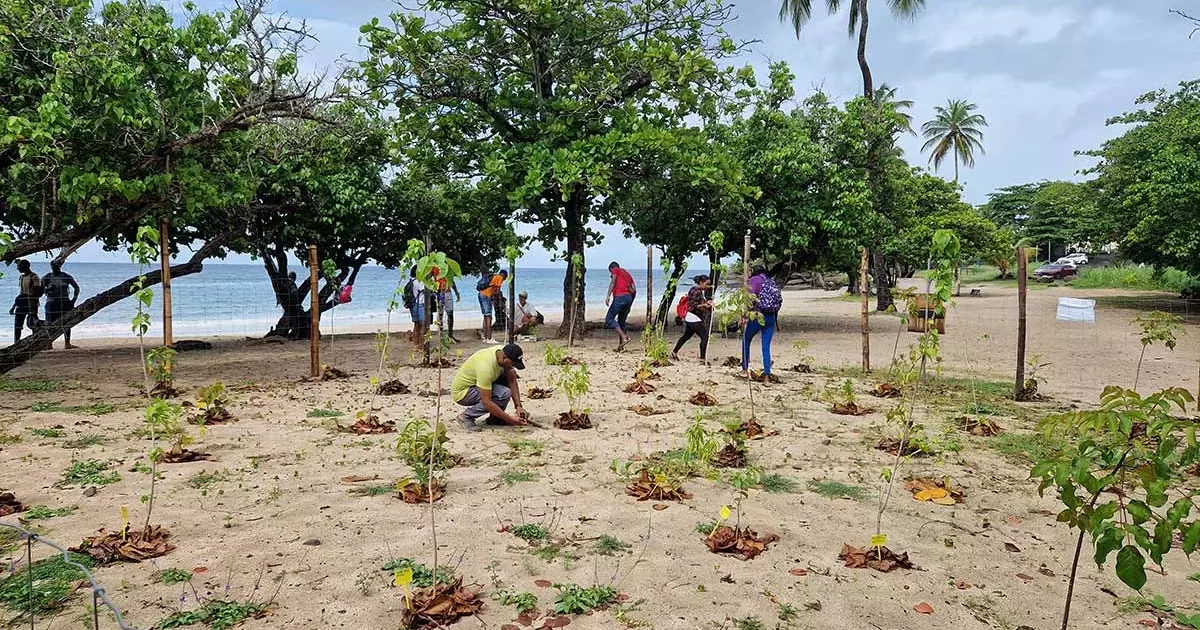 Biodiversité Outre-mer : Trois appels à projets TeMeUm ouverts jusqu’au ...