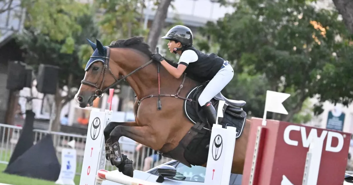7ème édition du « Matinik Chouval Show » : Une vitrine exceptionnelle ...