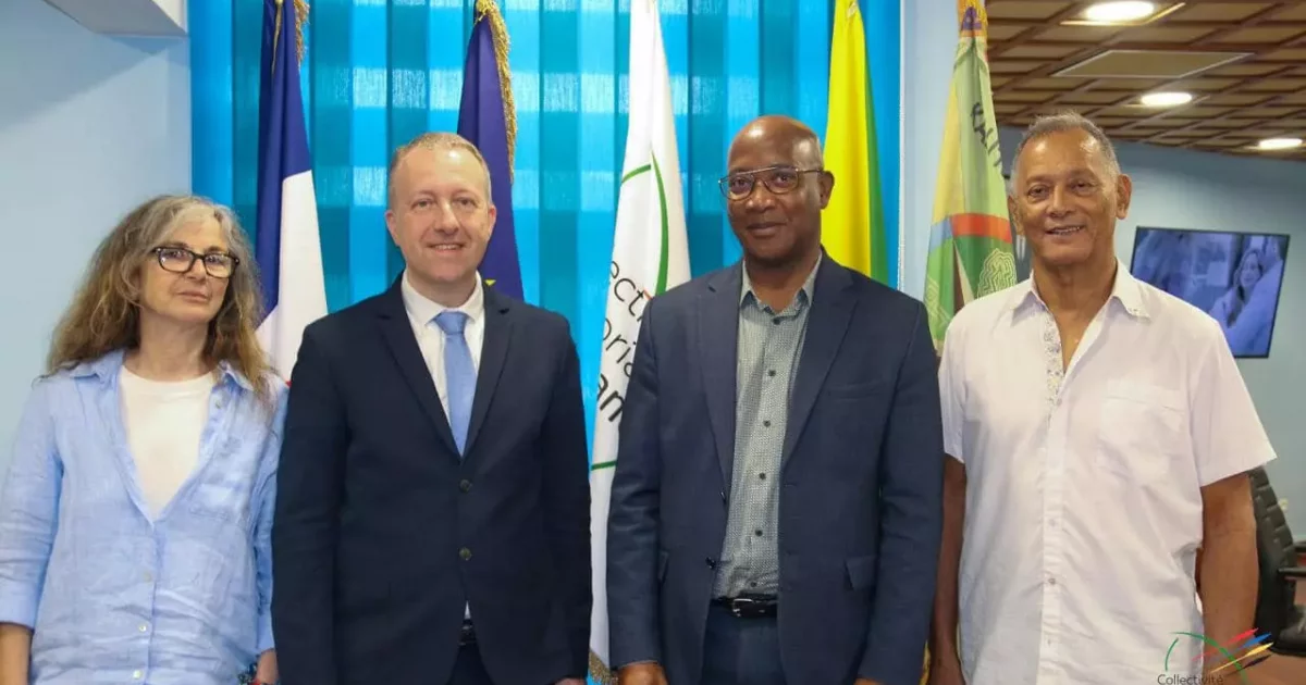 Guyane : Une formation professionnelle aux pratiques artistiques ...