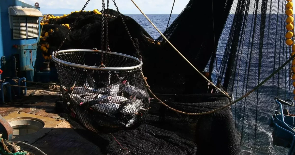 Pêche : Le sénateur Saïd Omar Oili interpelle le ministre de la Mer sur ...