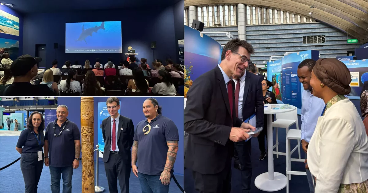 UNOC-3 : Le Tamataroa, le requin-marteau polynésien et le Fani Maoré le ...