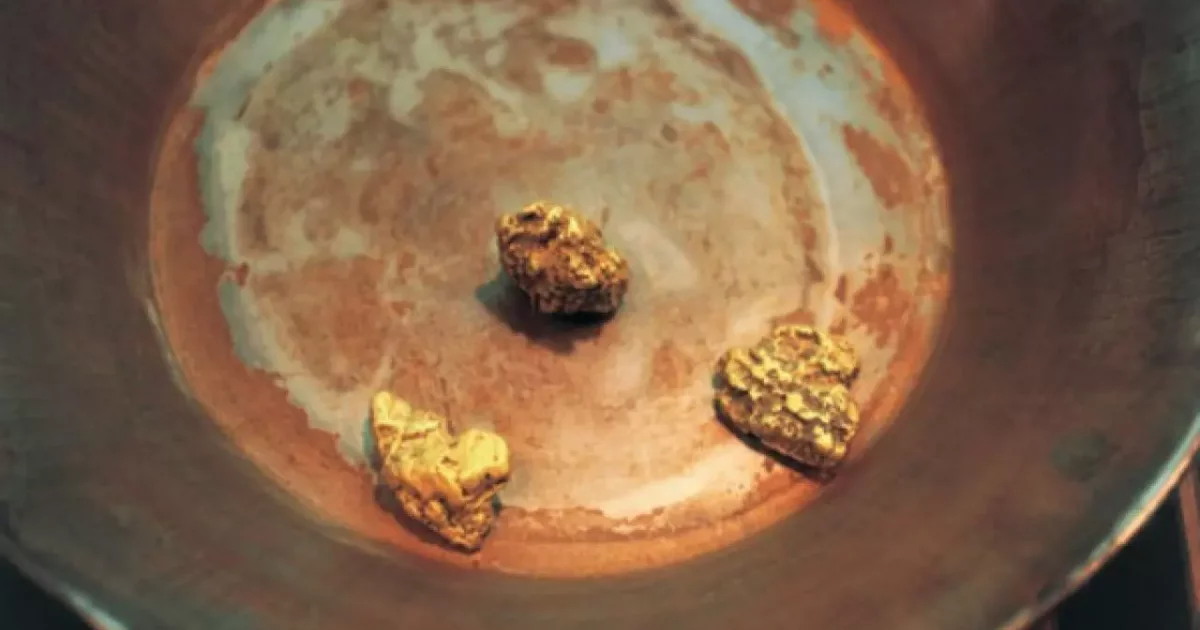 EXPERTISE. L’or de la Guyane : entre richesse et défis de durabilité ...